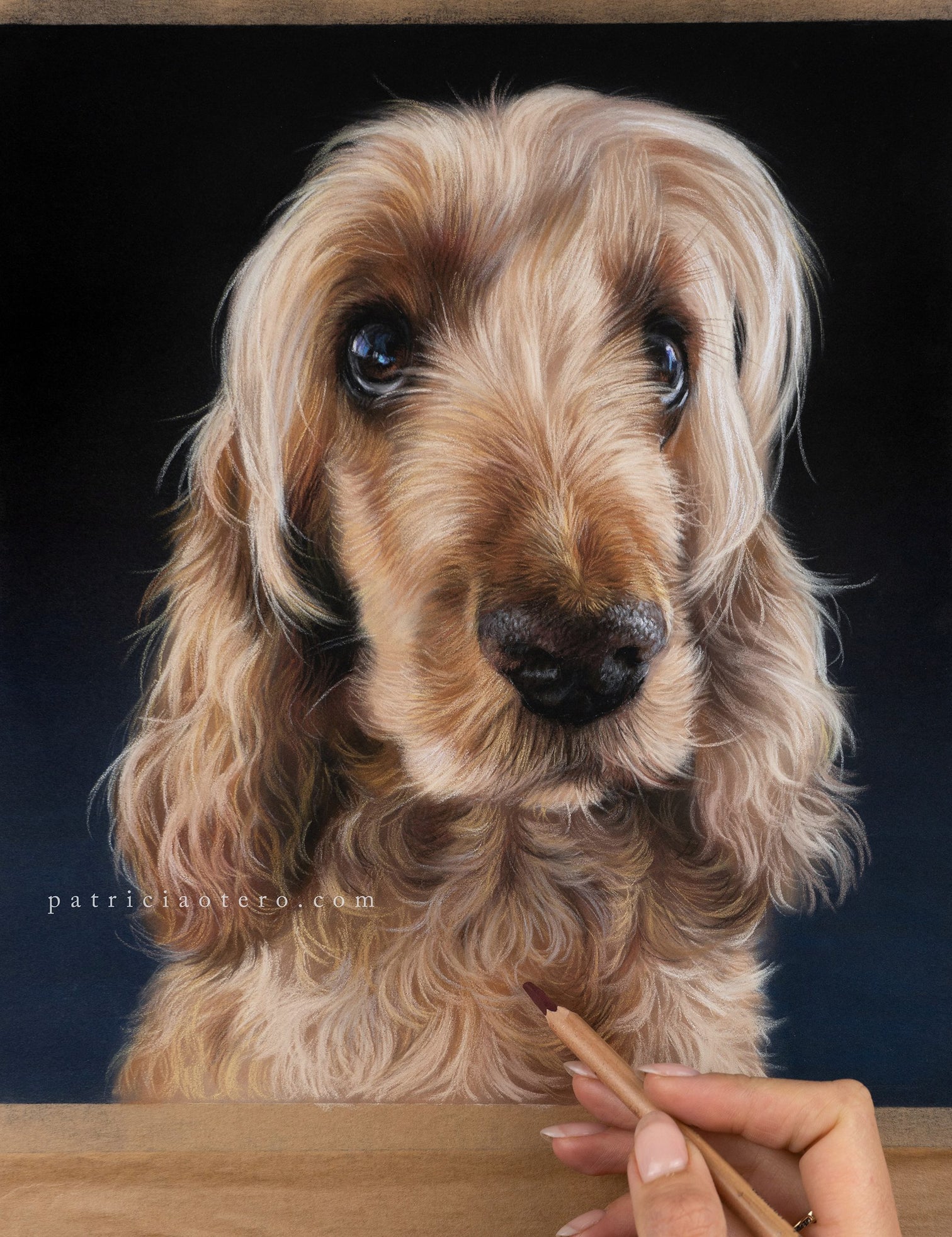 Academy – Patricia Otero